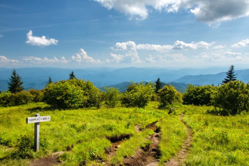 Andrews Bald Conquered! – Cocoa Smiles